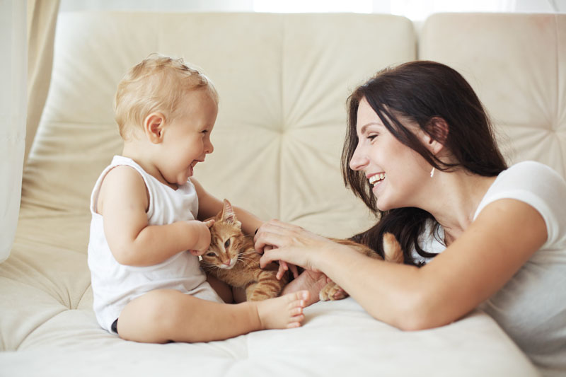 Top Childminder Facts Ireland - Mindme.ie